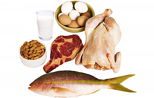 6 Temel besin ögesi nedir